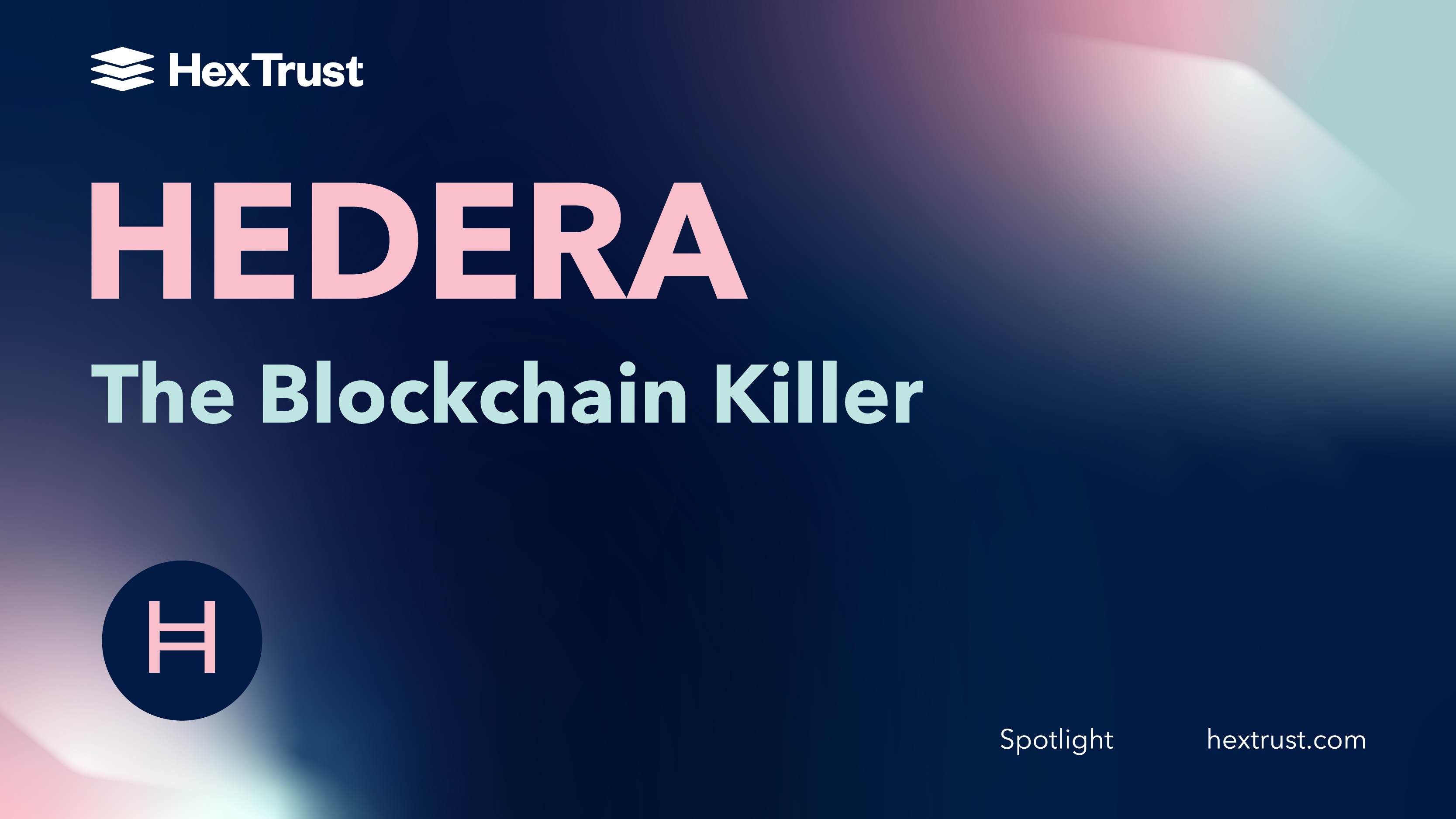 Hedera: the Blockchain Killer | Hex Trust